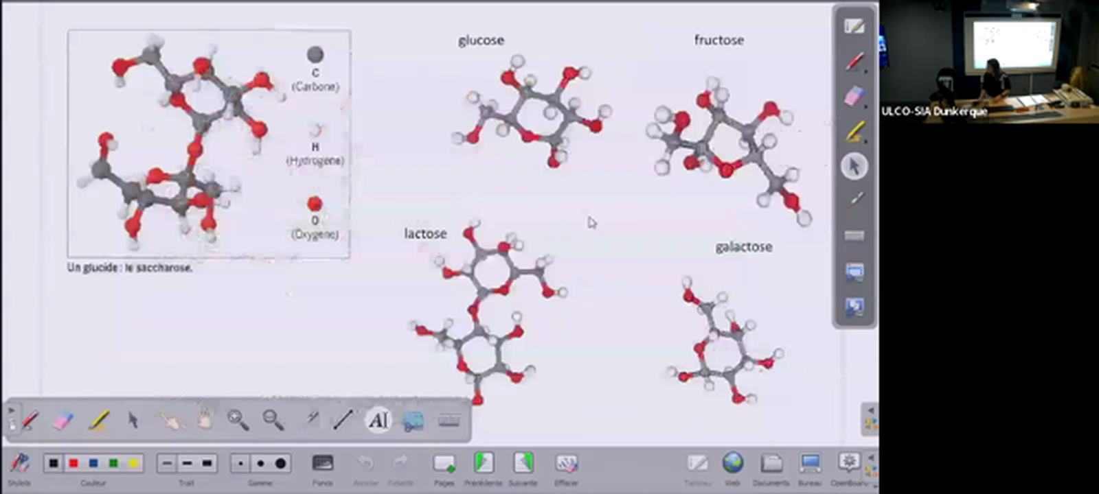 Podulco - Formation Continue - Biologie - Fcu Daeu Biologie - 03.10.22