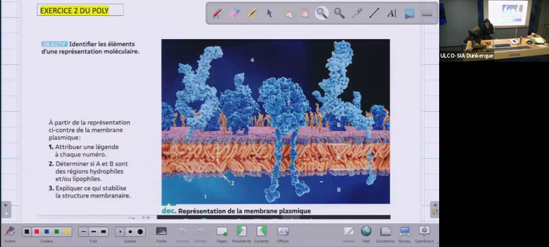 Podulco - Formation Continue - Biologie - Fcu Daeu Biologie - 27.11.23